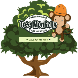 Tree Monkeys