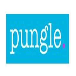 Pungle - Crunchbase Company Profile & Funding